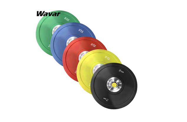 Compare the difference types of common free weights